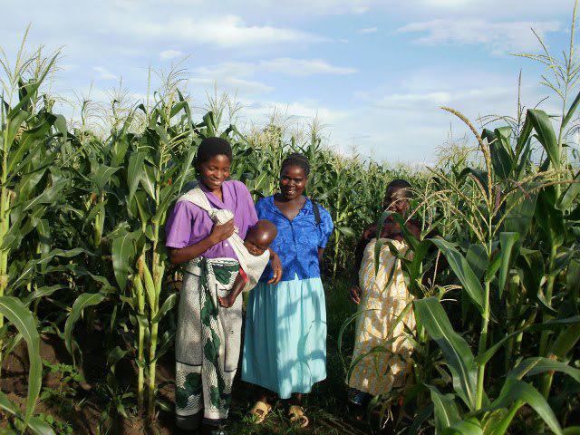 Saving Mothers and Children Through Safe Birth Kits