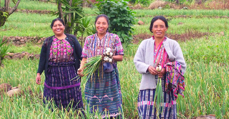 Skills training to reduce household poverty for rural Guatemalan women