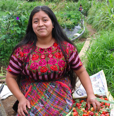 Skills training to reduce household poverty for rural Guatemalan women